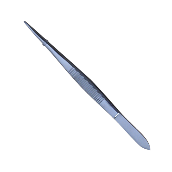 Forceps / Tweezers Stainless Steel - Sharp (AF13) | Wollongong First Aid